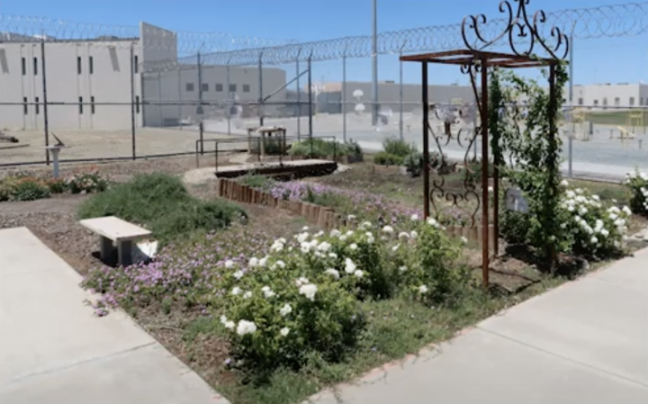 Prison gardens